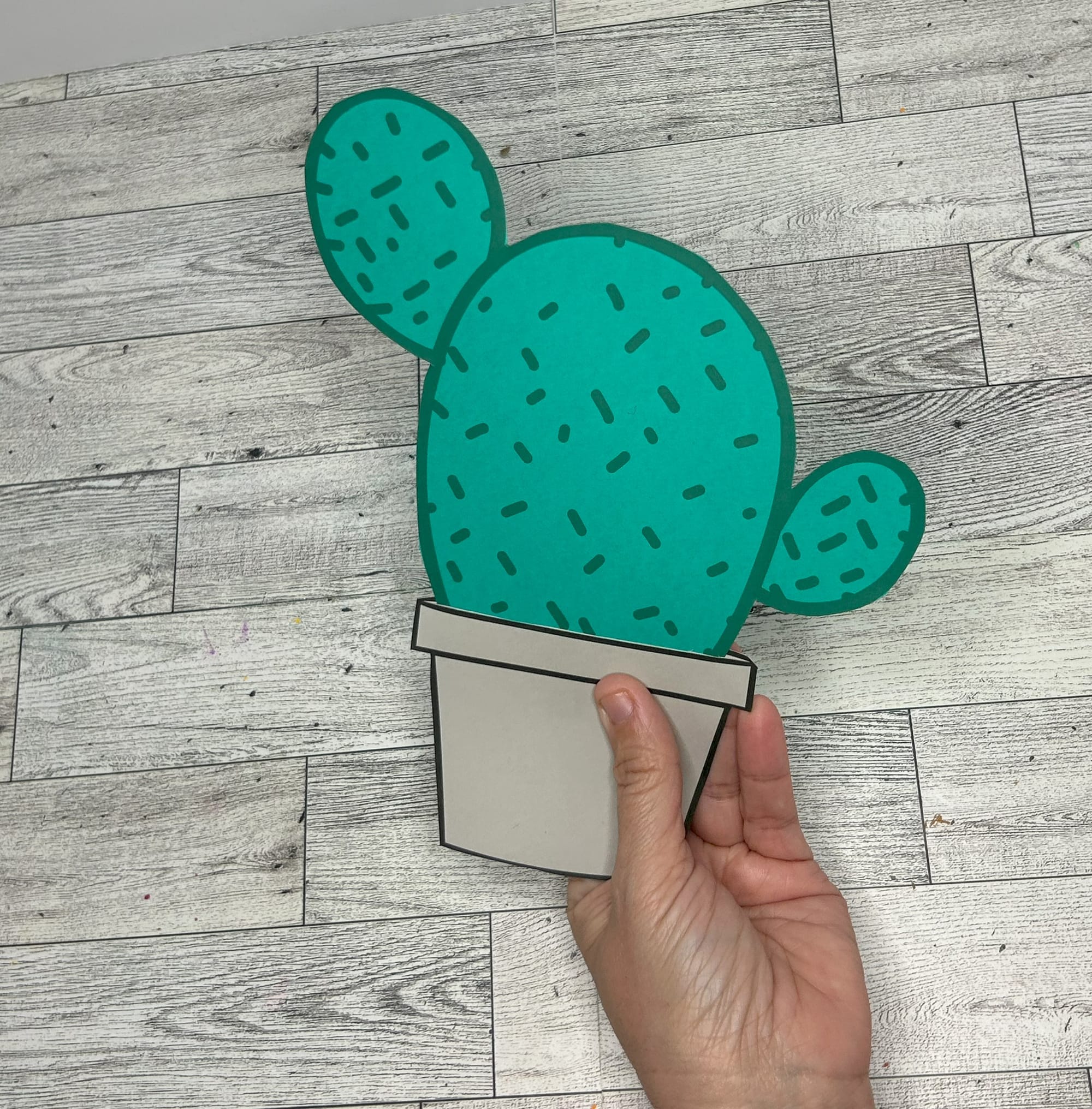 How To Hug A Cactus Problem and Solution Activity