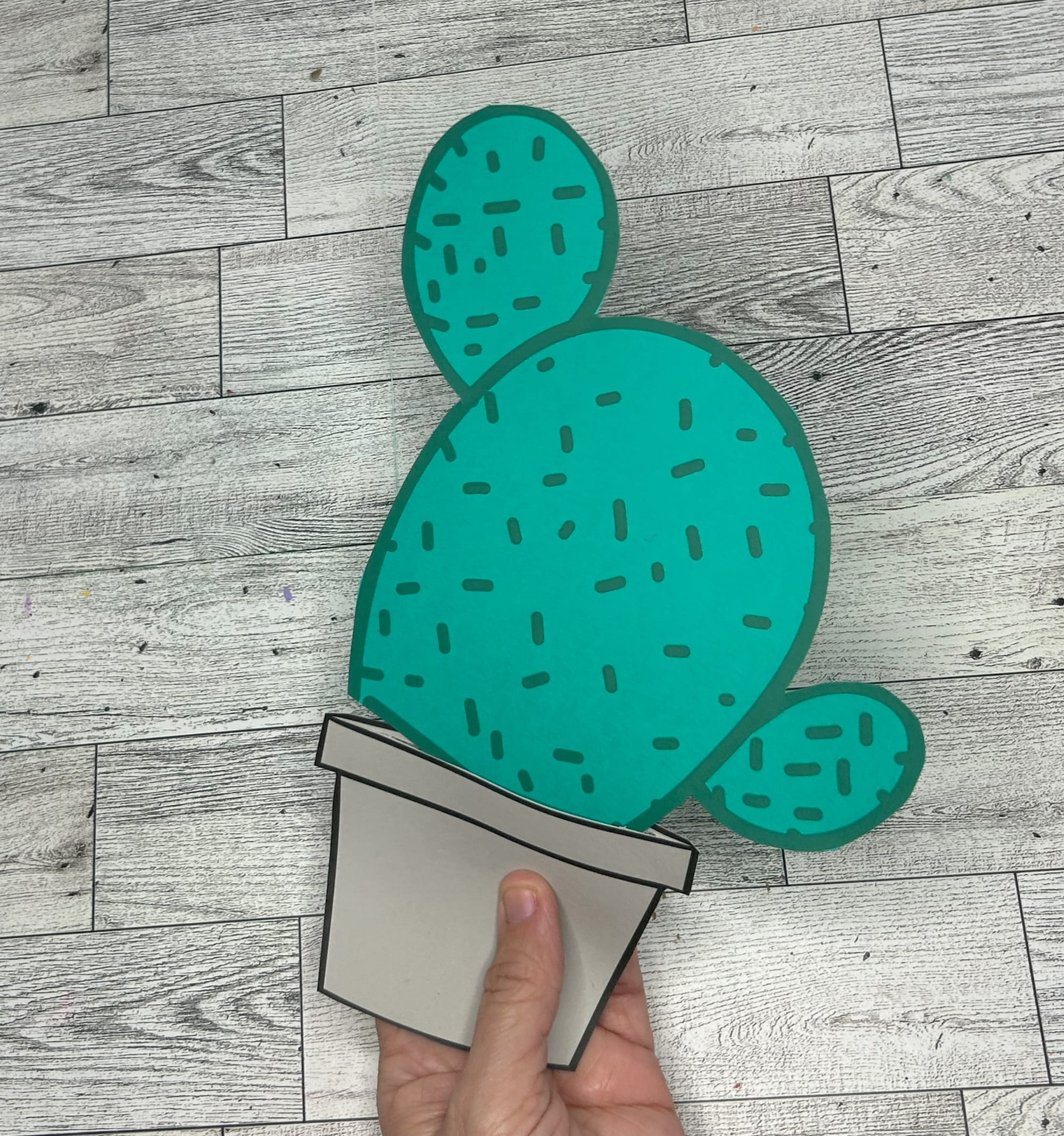 How To Hug A Cactus Problem and Solution Activity