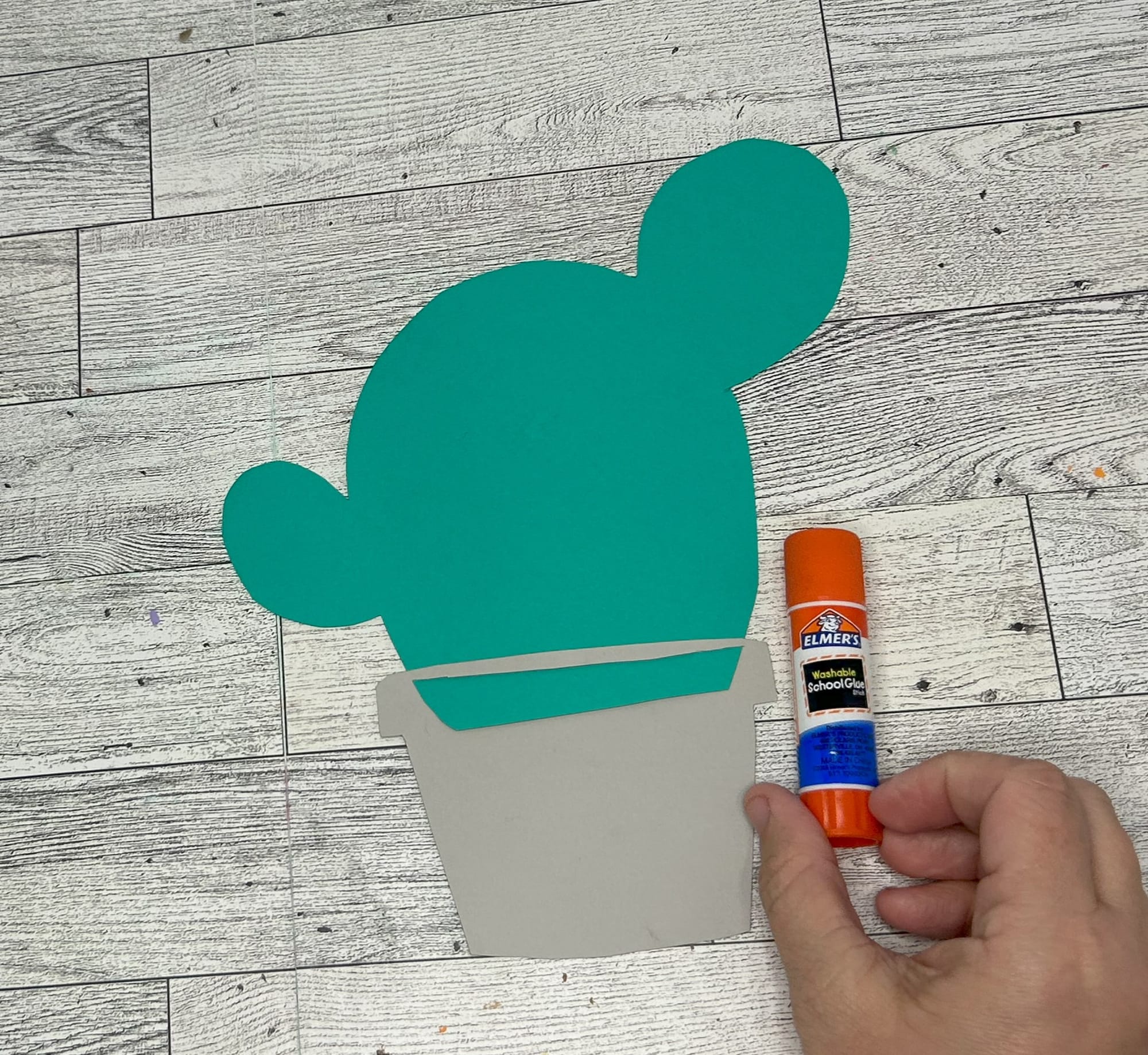 How To Hug A Cactus Problem and Solution Activity