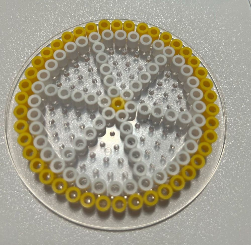 Perler Bead Fruit Coasters