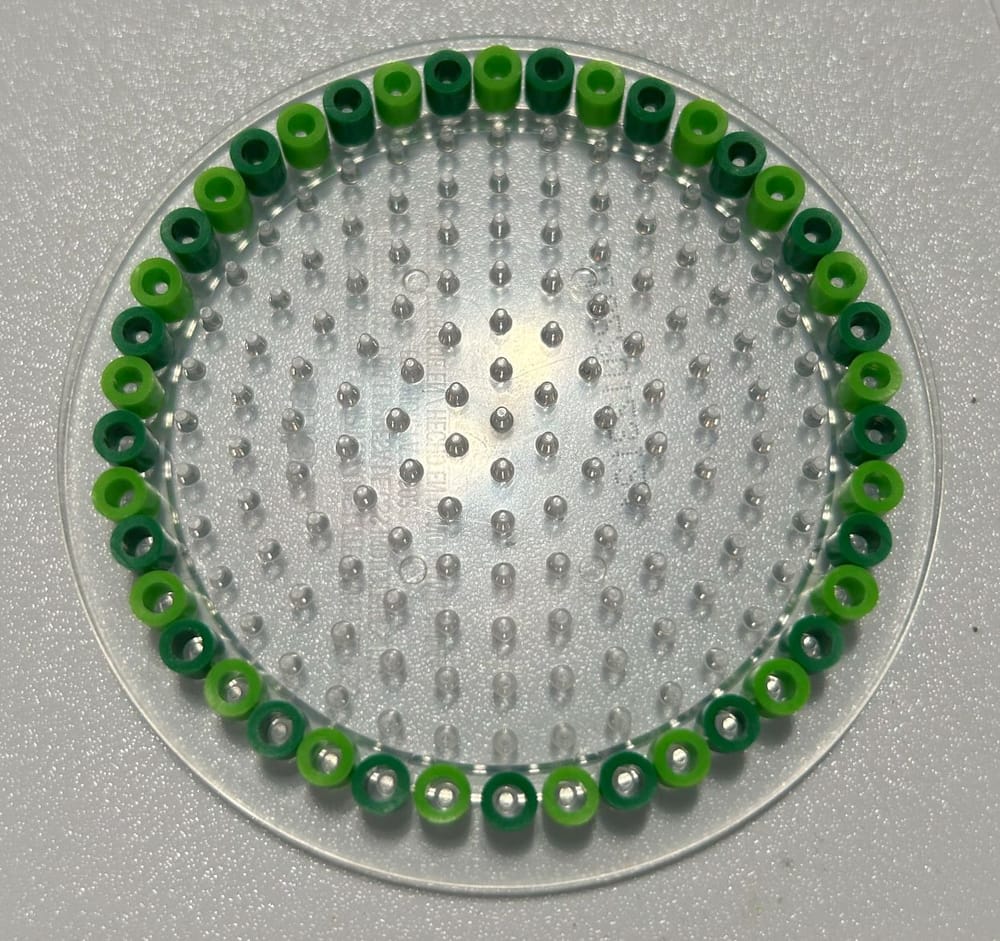 Perler Bead Fruit Coasters