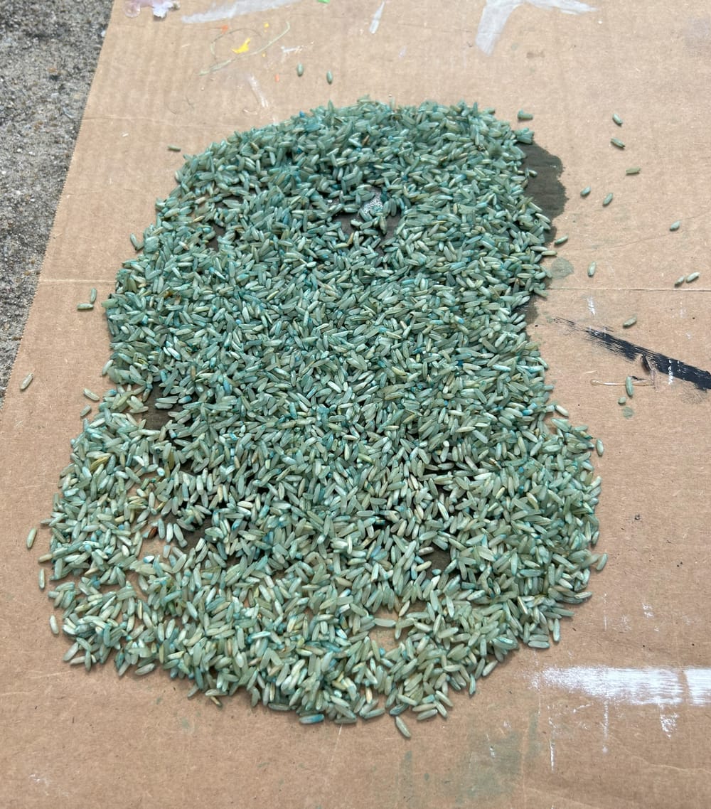 DIY Dyed Rice