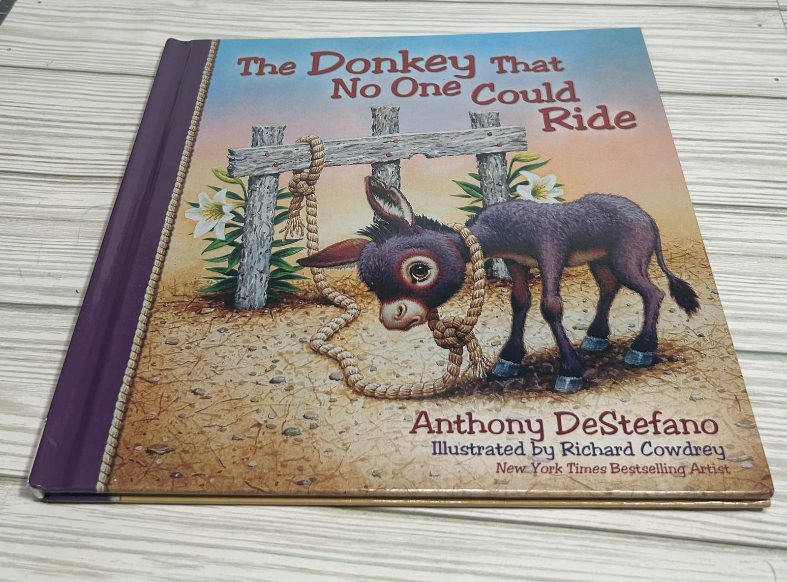 The Donkey No One Could Ride Craft