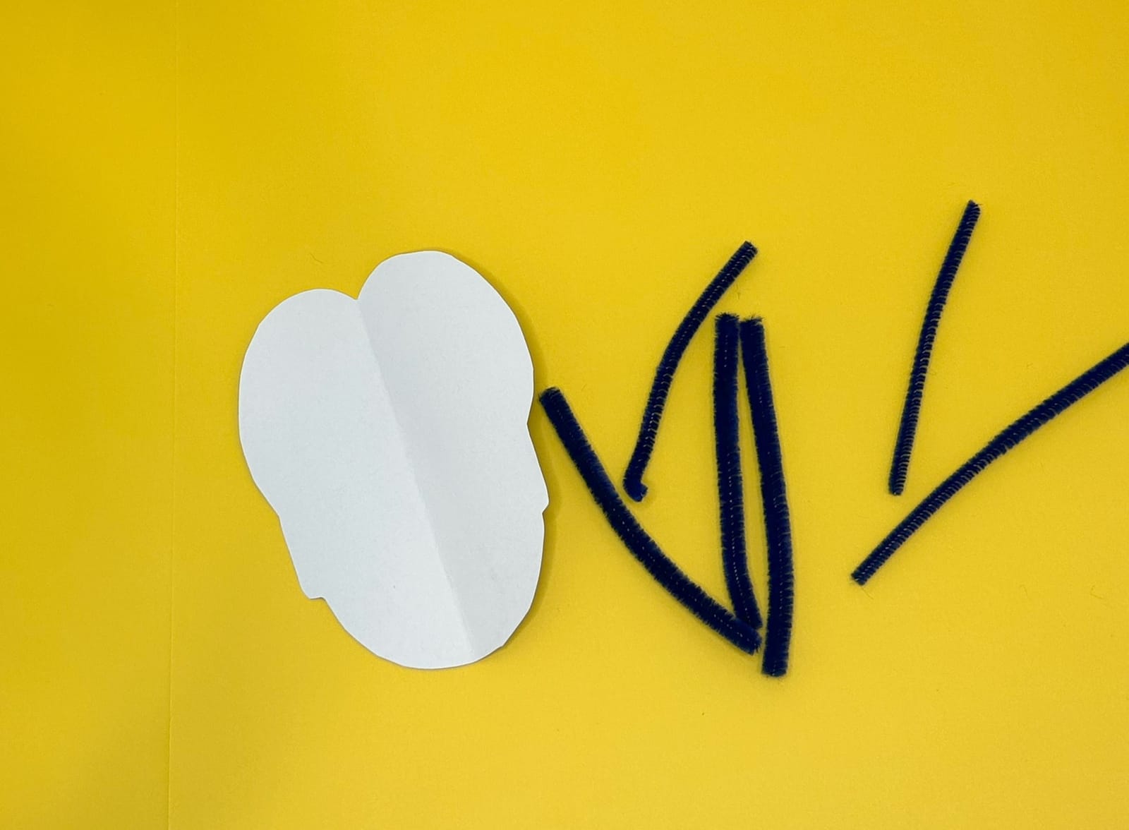 Dung Beetle Insect Craft