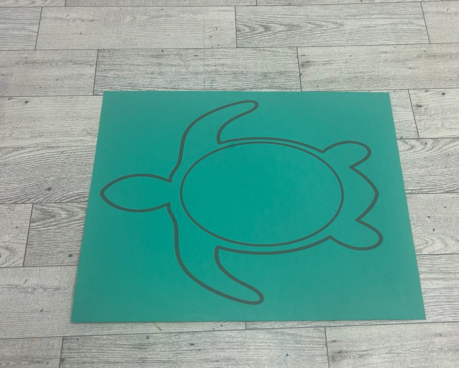 Sea Turtle Craft