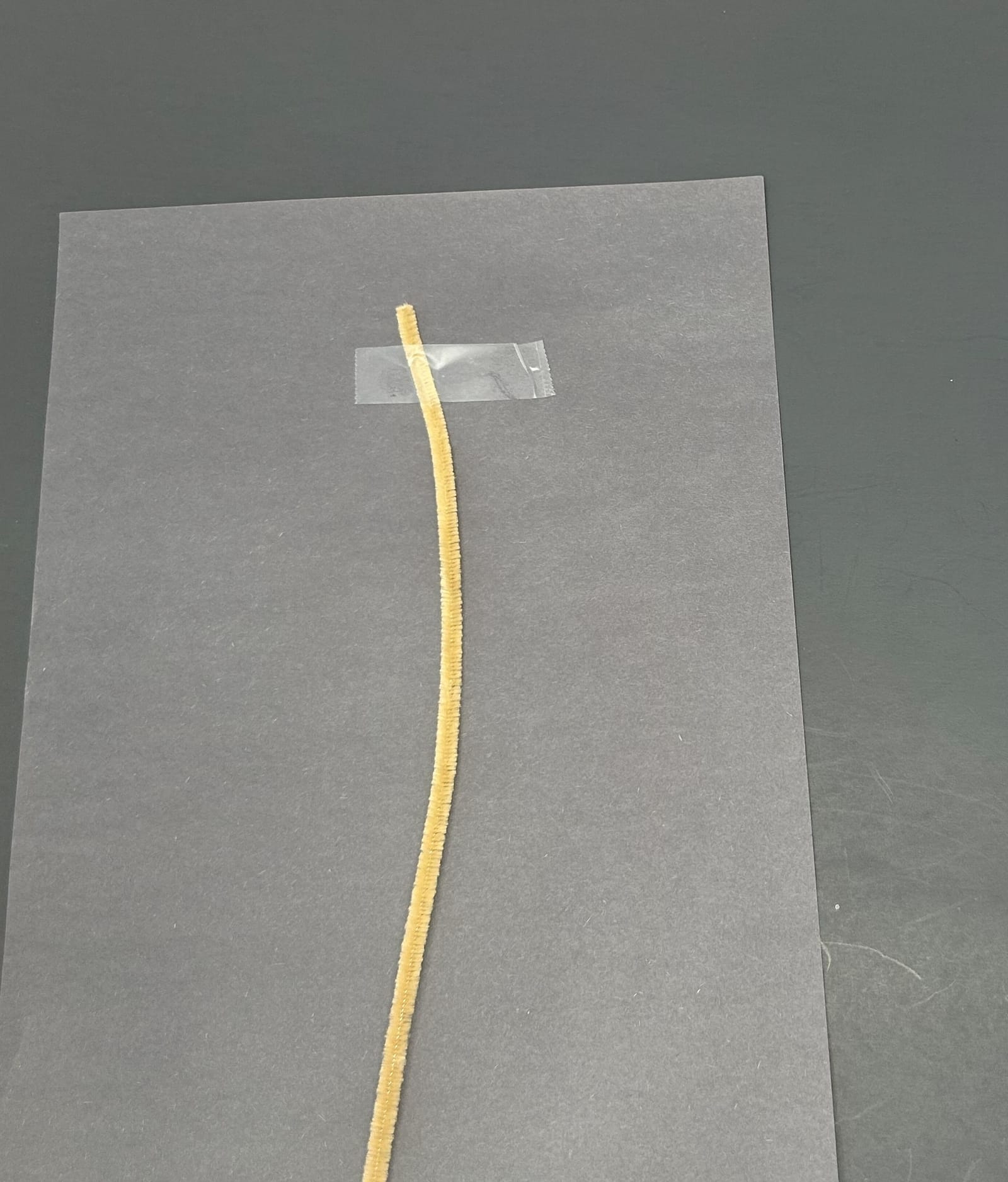 Scarecrow Tens and Ones