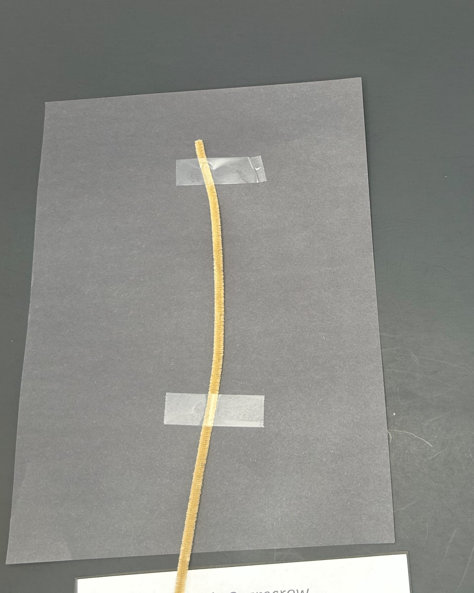 Scarecrow Tens and Ones