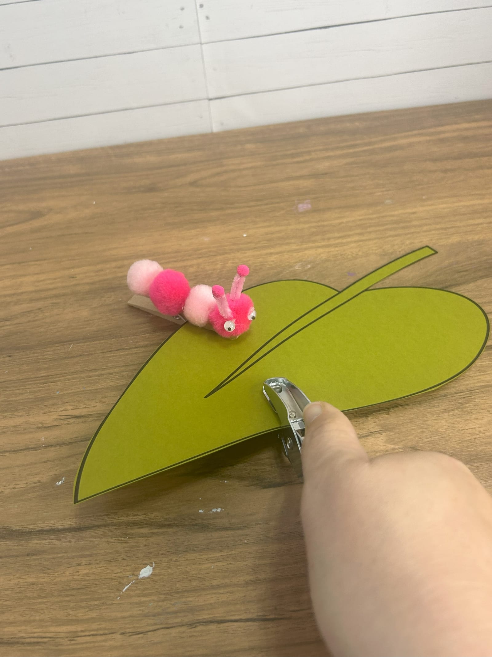 Caterpillar Clothespin Activity