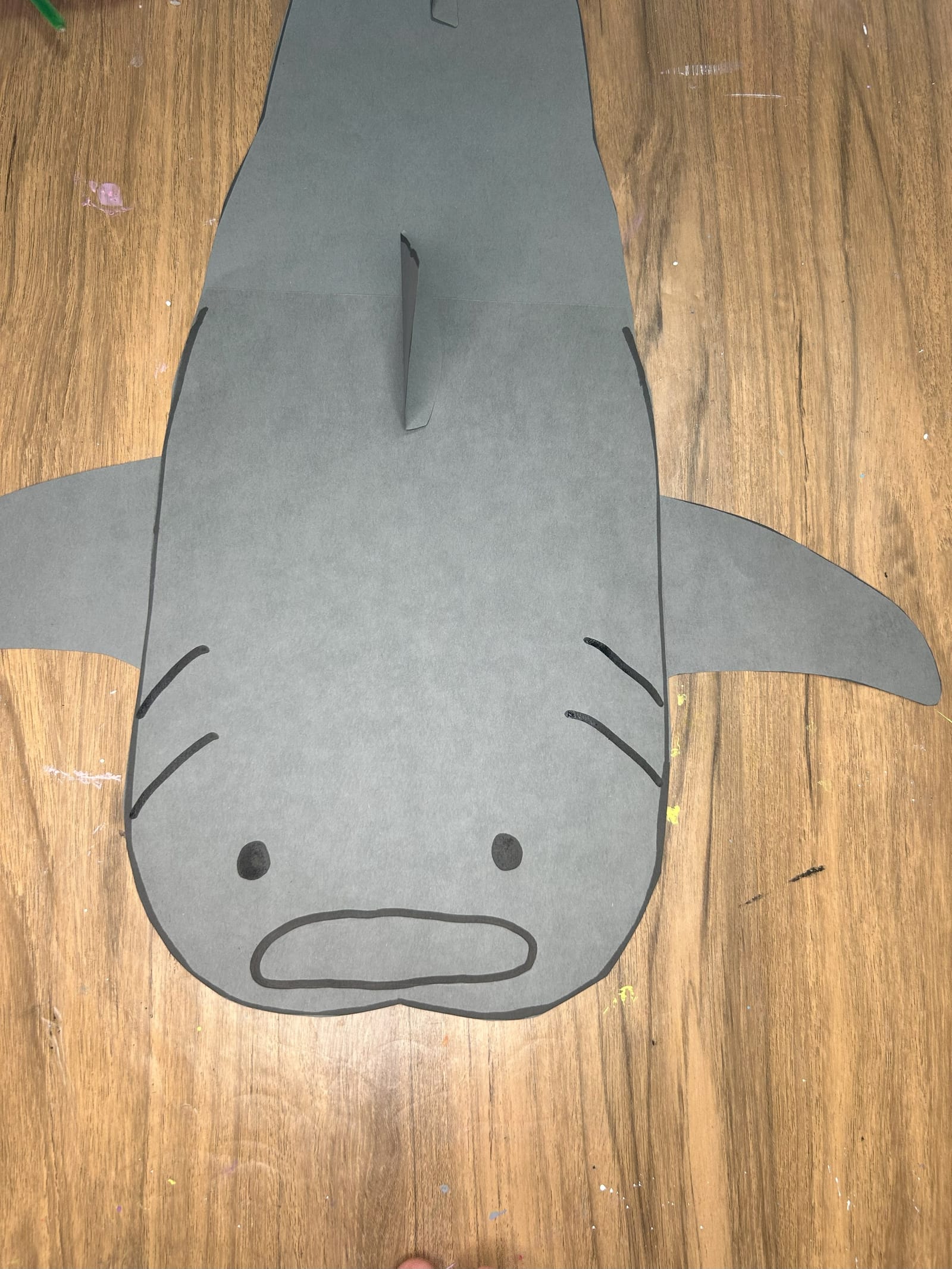 Whale Shark Craft