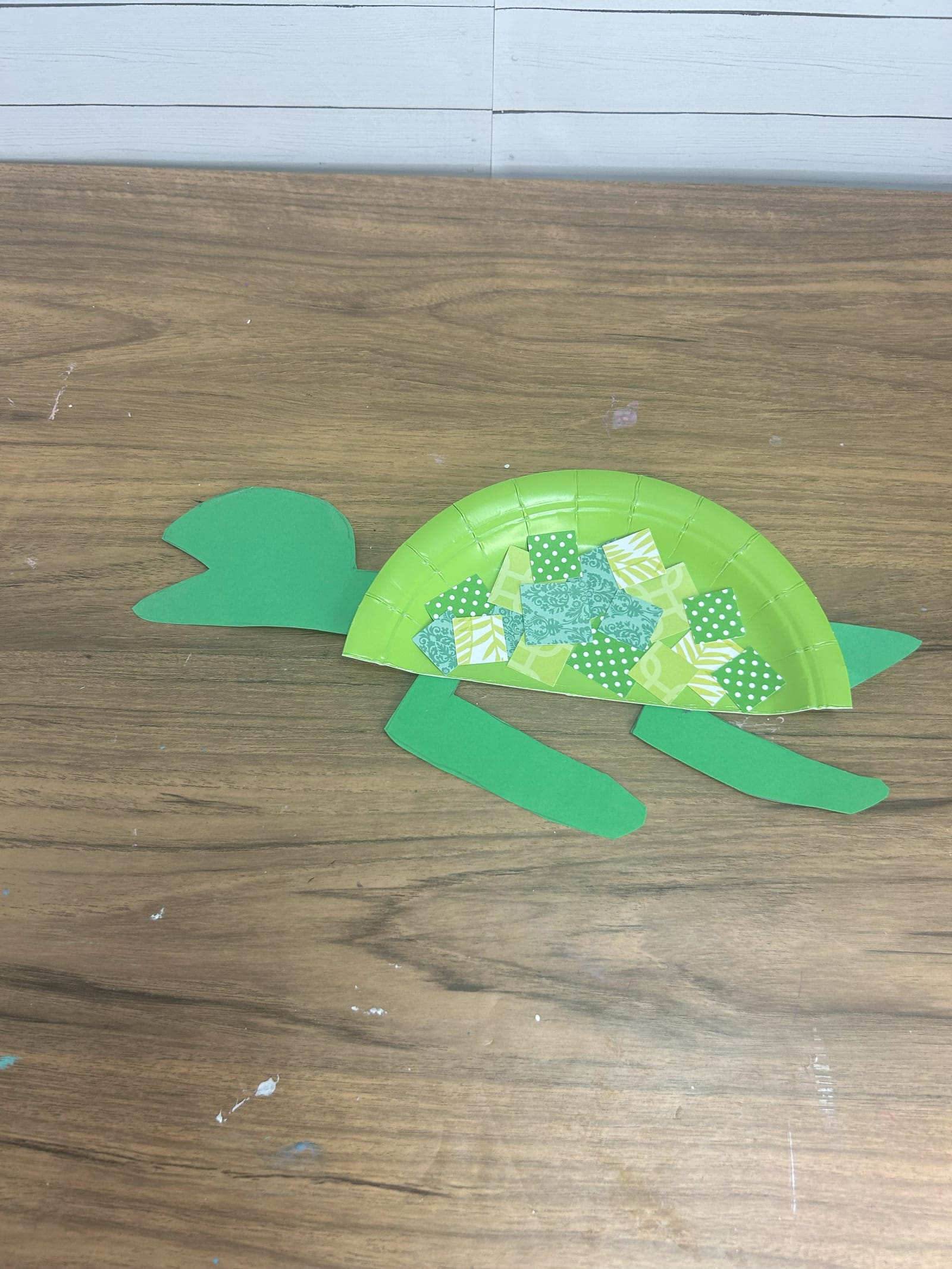 Paper Plate Turtles
