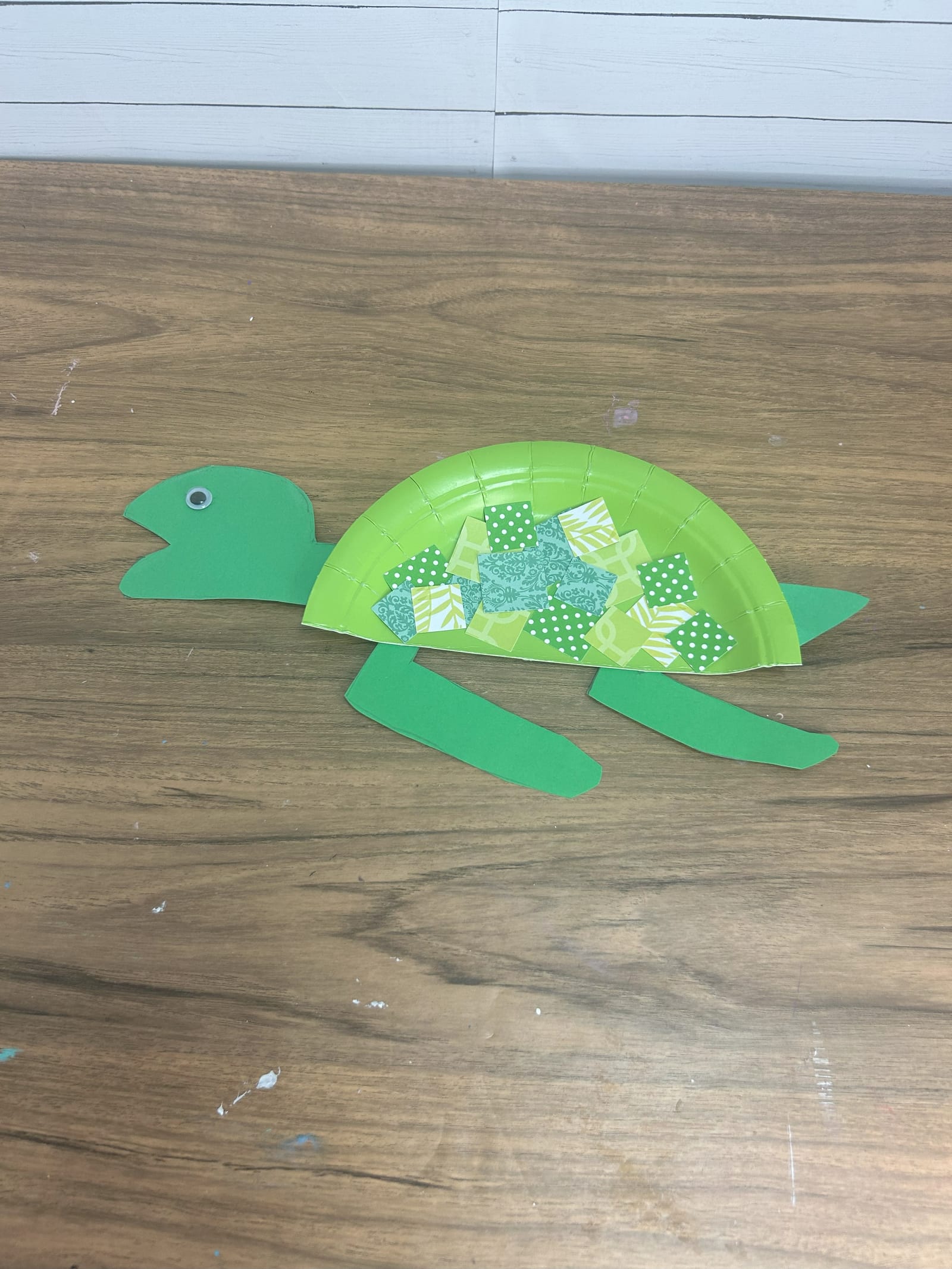 Paper Plate Turtles