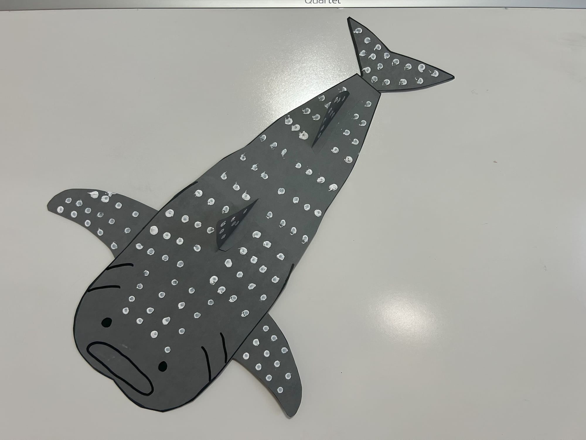 Whale Shark Craft
