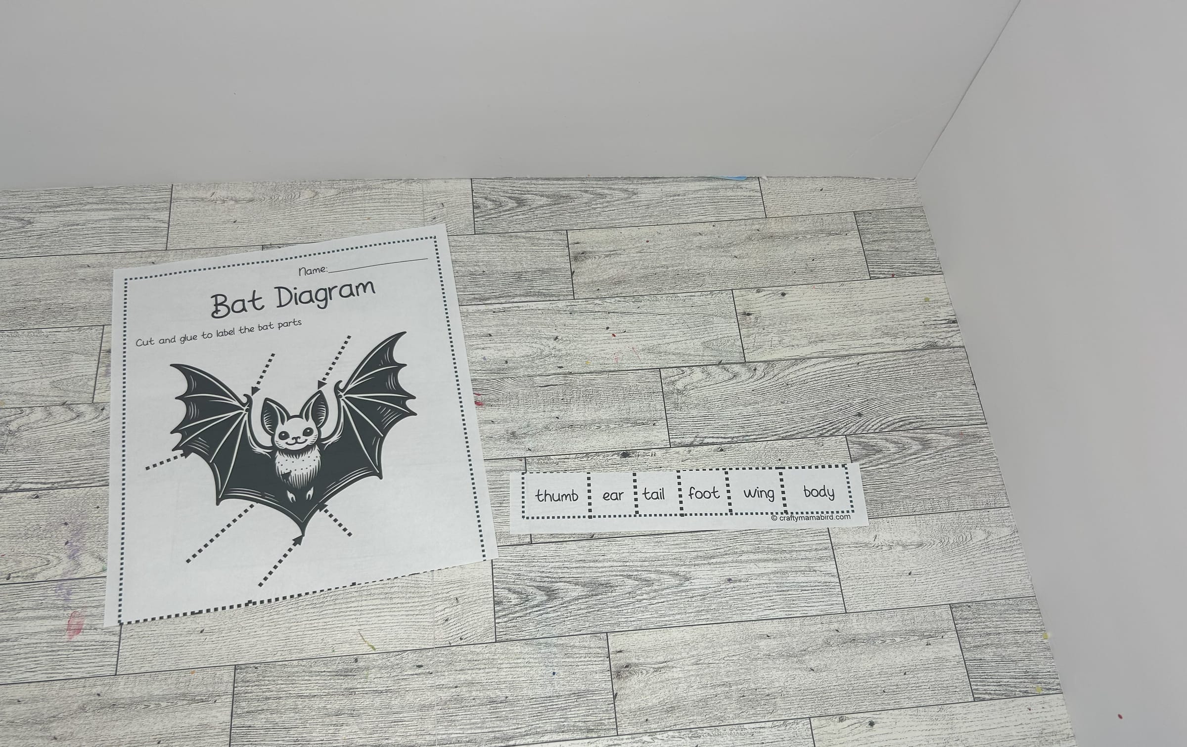 Bat Diagram