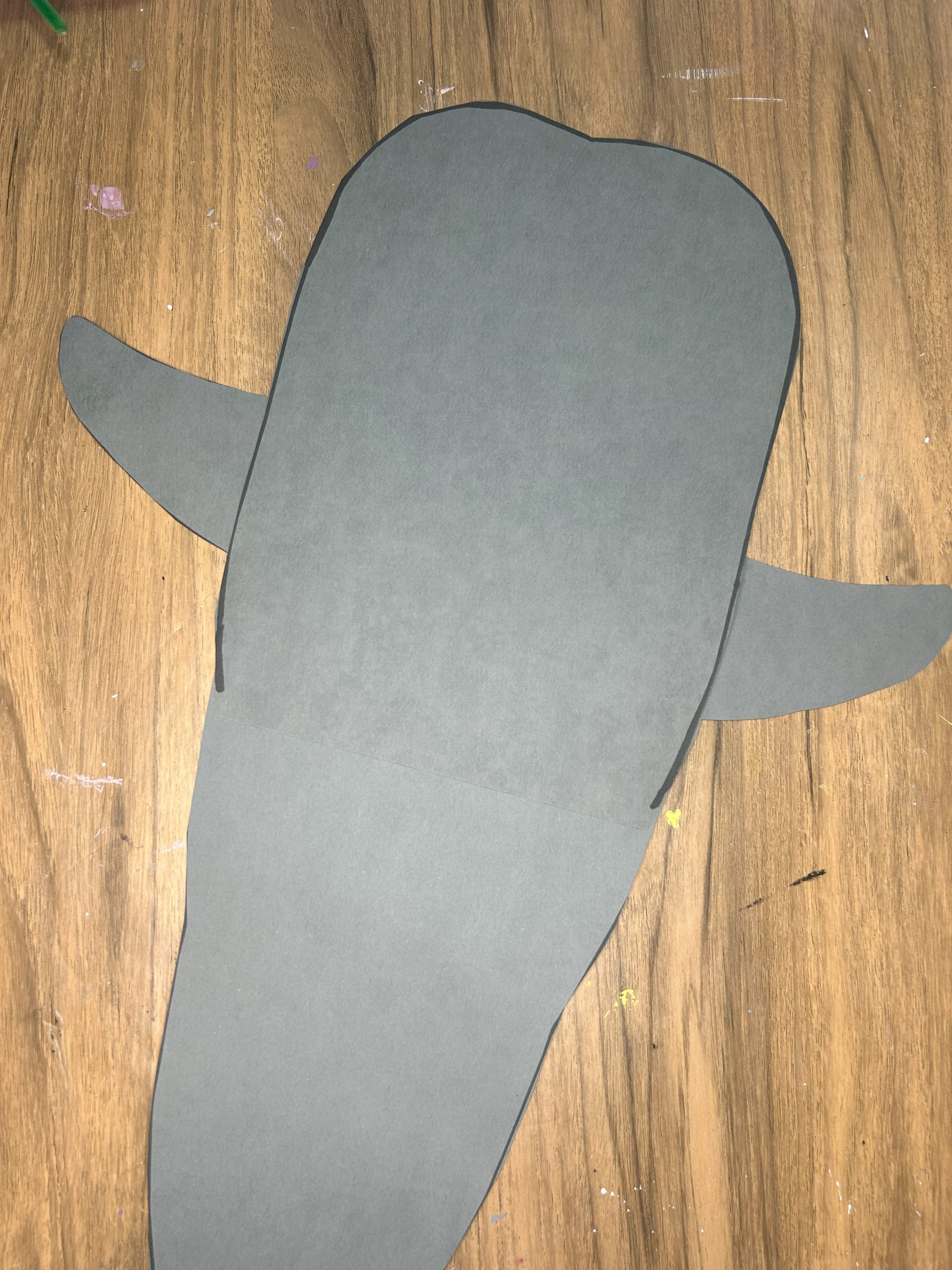 Whale Shark Craft