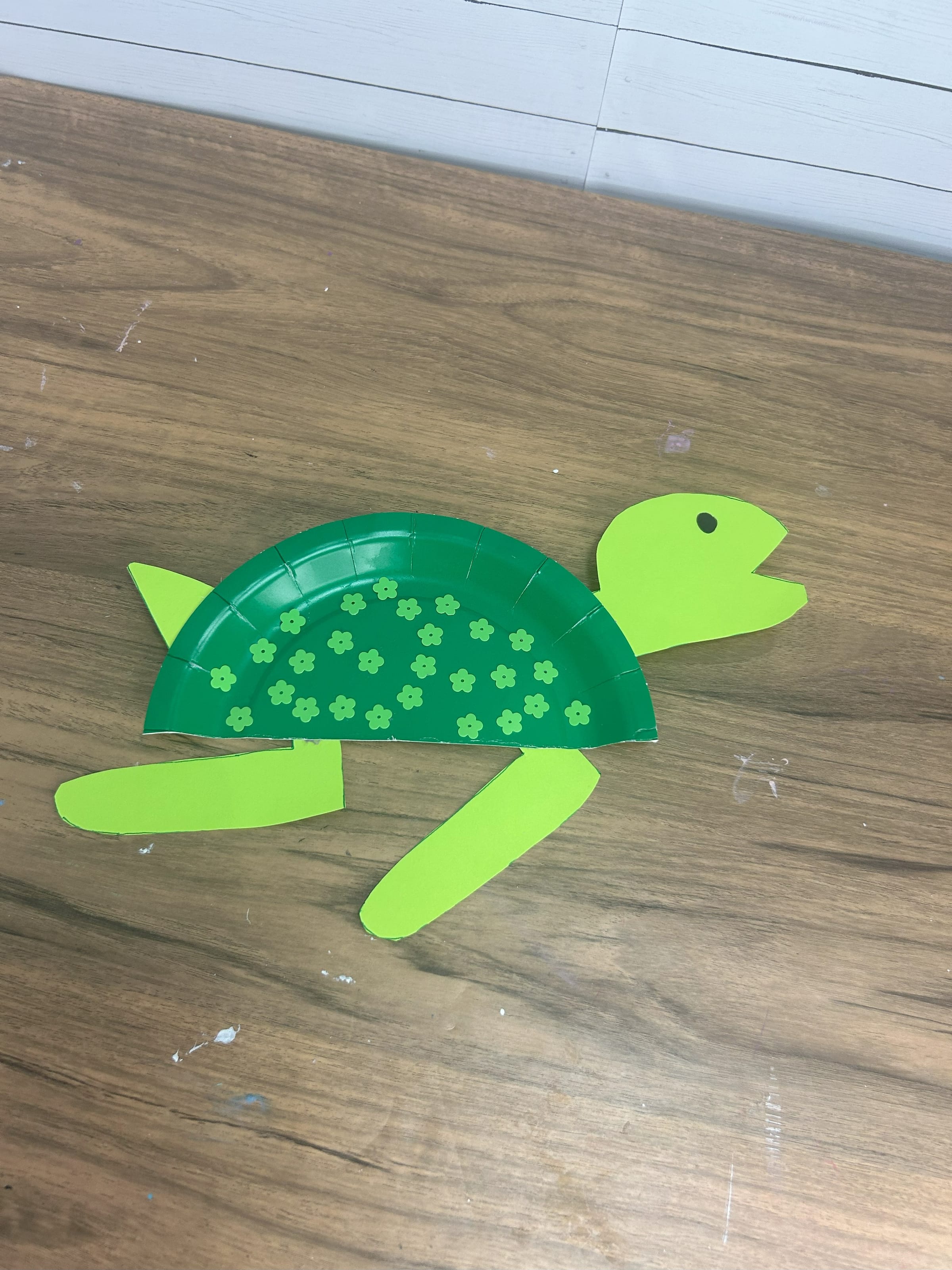 Paper Plate Turtles